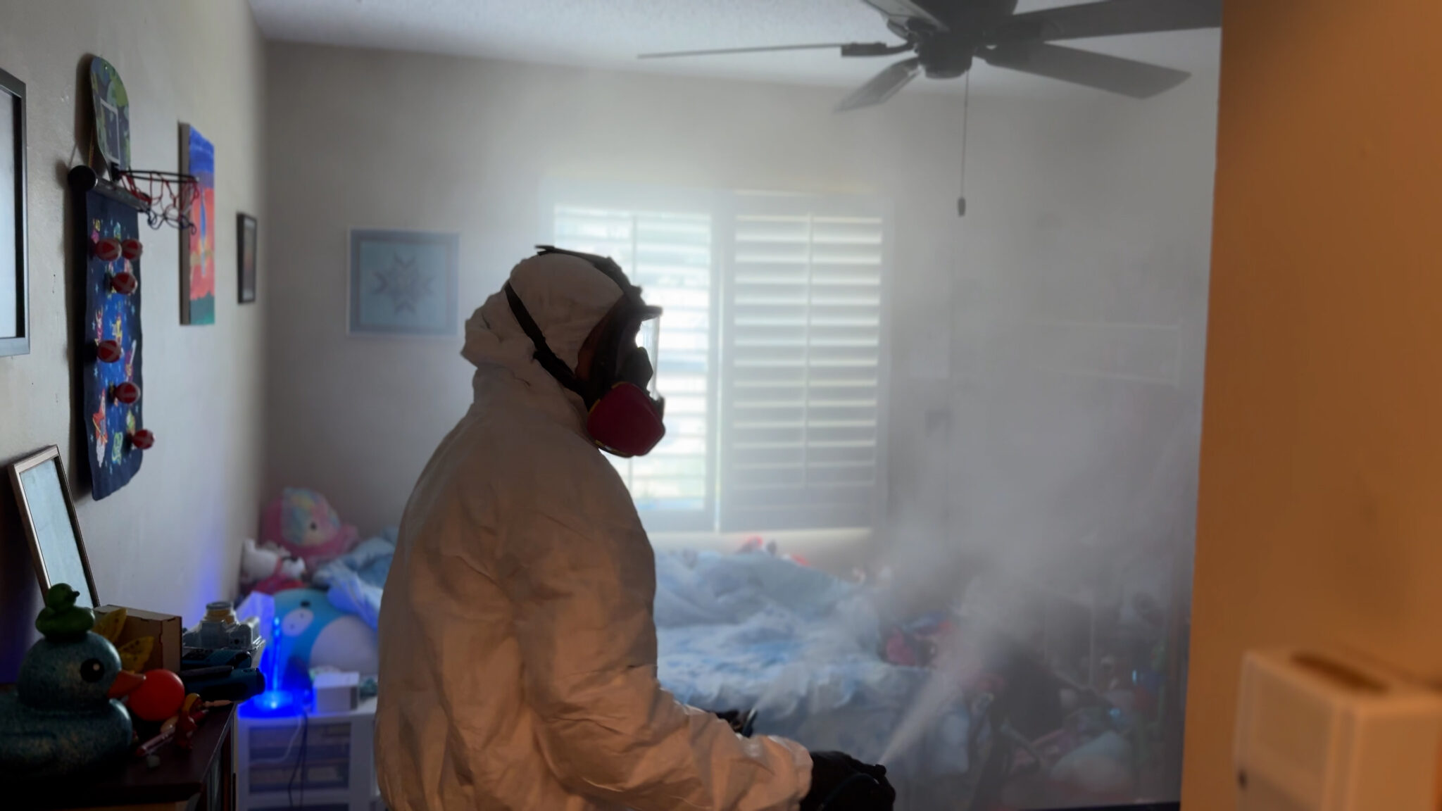 Mold Remediation Service in Clearwater | Mold Zero