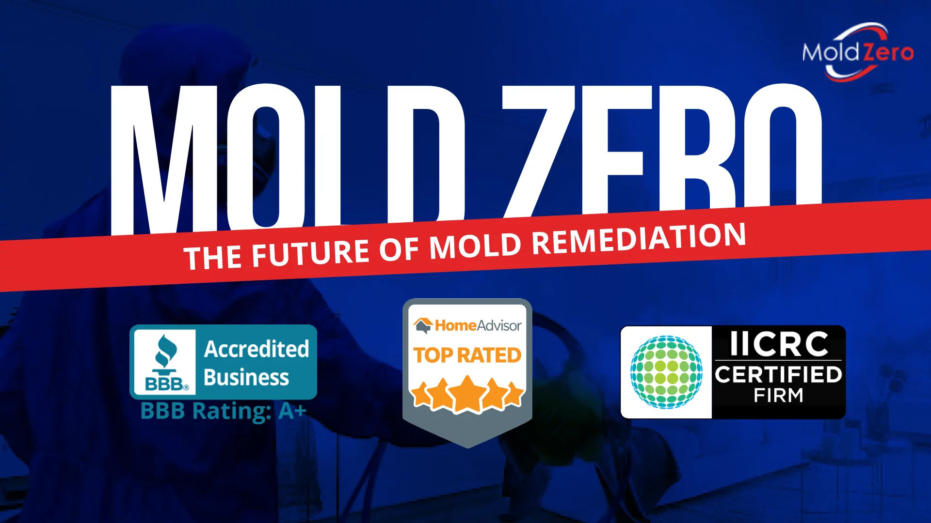 Mold Remediation - Mold Zero