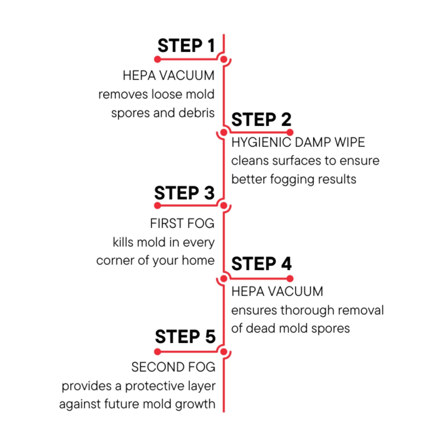 Mold Remediation: How Mold Zero Helps - Mold Zero